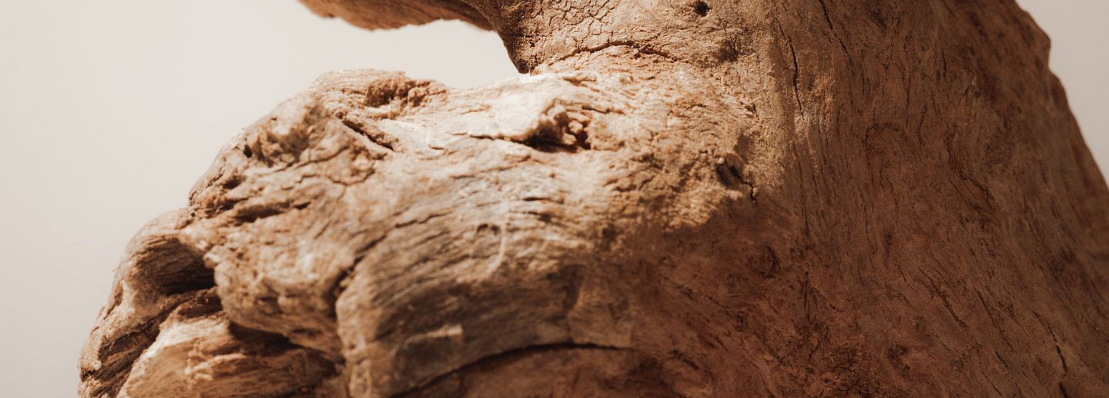 What Does Cashmere Wood Smell Like In Perfume? – Phlur