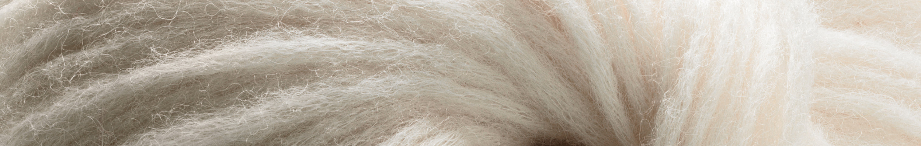 Cashmere Skin – Phlur