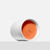 Tangerine Perfume - The Full Tangerine Boy Collection – Phlur