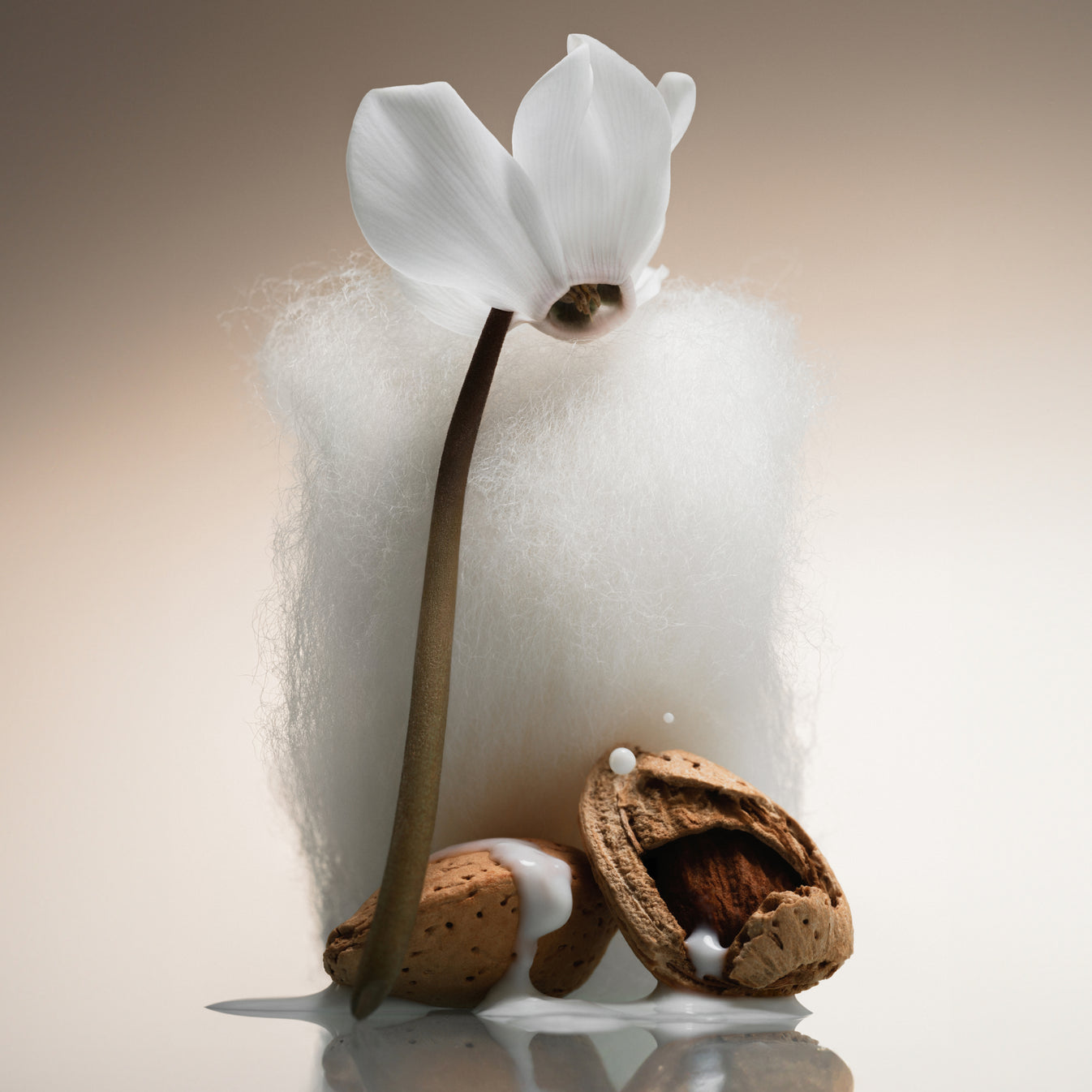 Cashmere Skin - Body Mist – Phlur