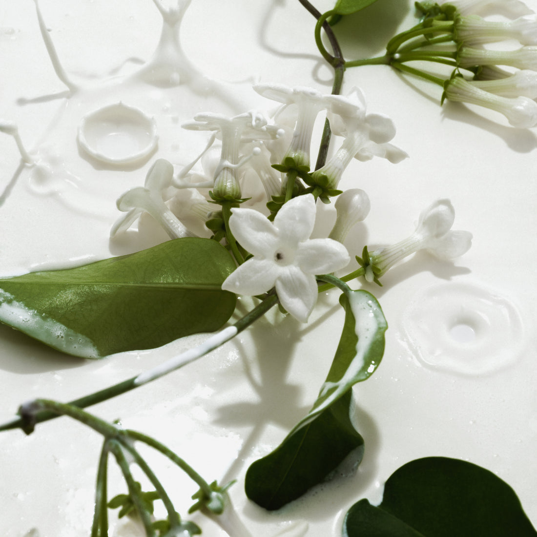 Vanilla & Cream - Body Mist Duo – Phlur
