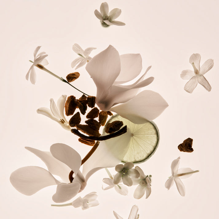 Endless Summer - Deluxe Mini Trio – Phlur