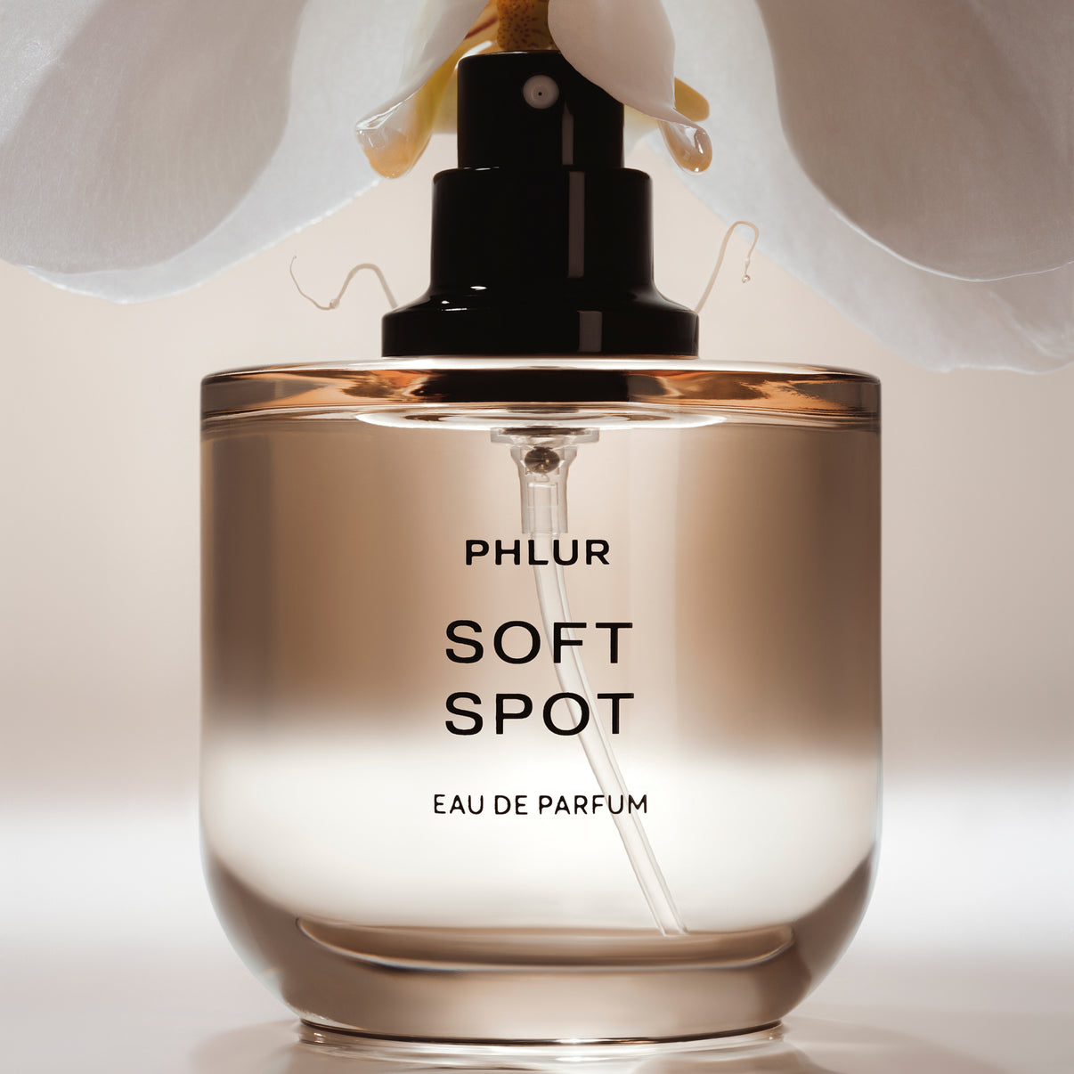 Soft Spot Perfume - Full Size Fragrance – Phlur