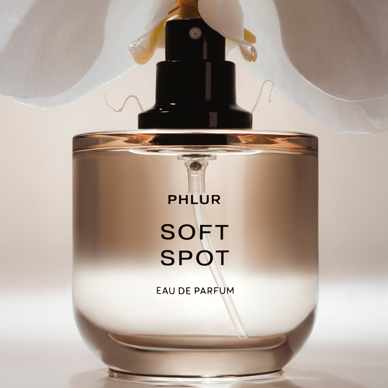 Soft Spot Perfume - Full Size Fragrance – Phlur