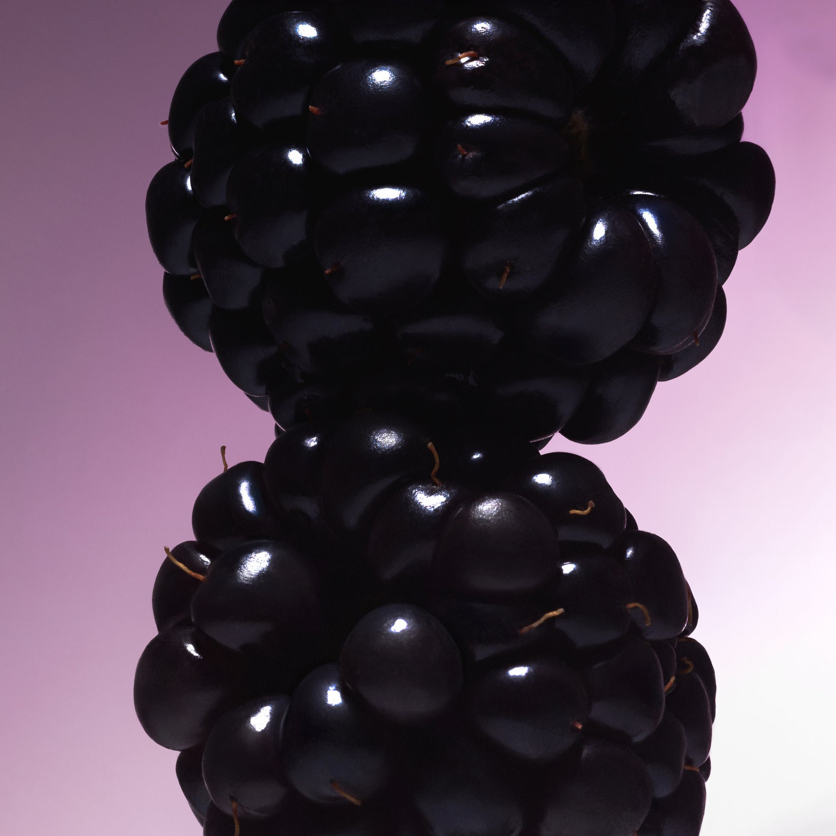 Vanilla Blackberry - Body Mist – Phlur