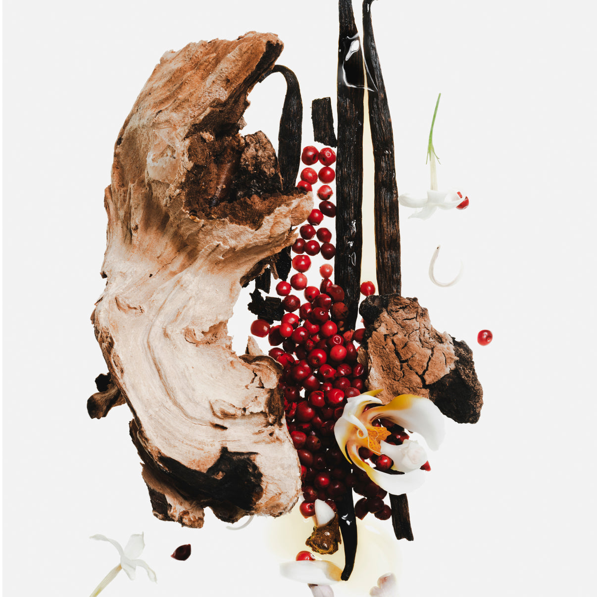 Vanilla Skin Natural Deodorant – Phlur