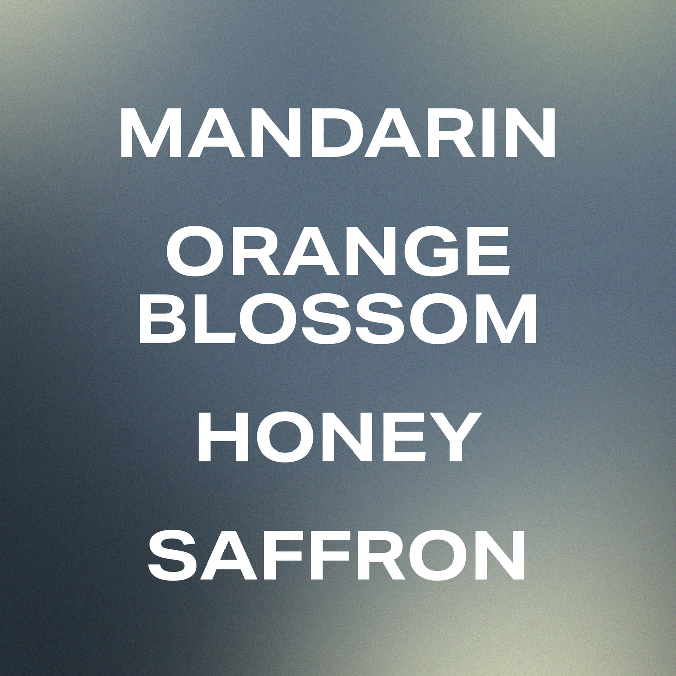 Honey Moon - 50mL – Phlur