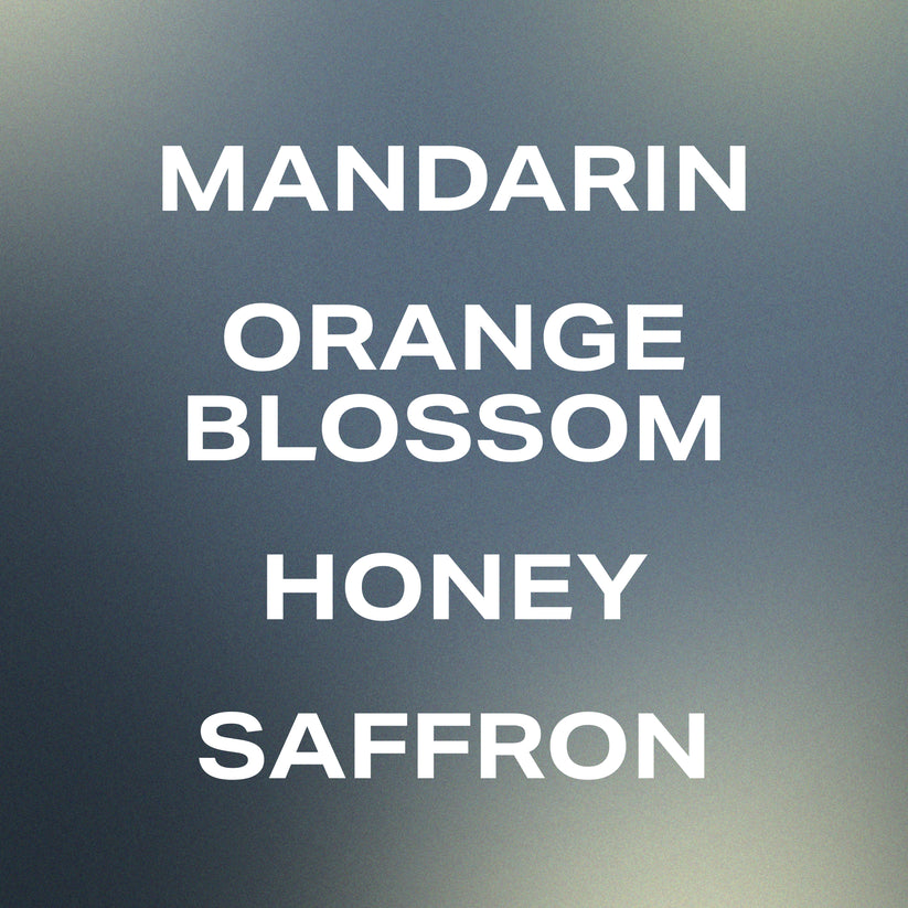 Honey Moon - Fragrance Duet – Phlur