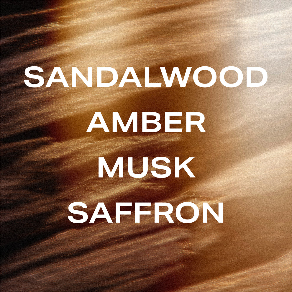 Somebody Wood Perfume - Full Size Fragrance – Phlur