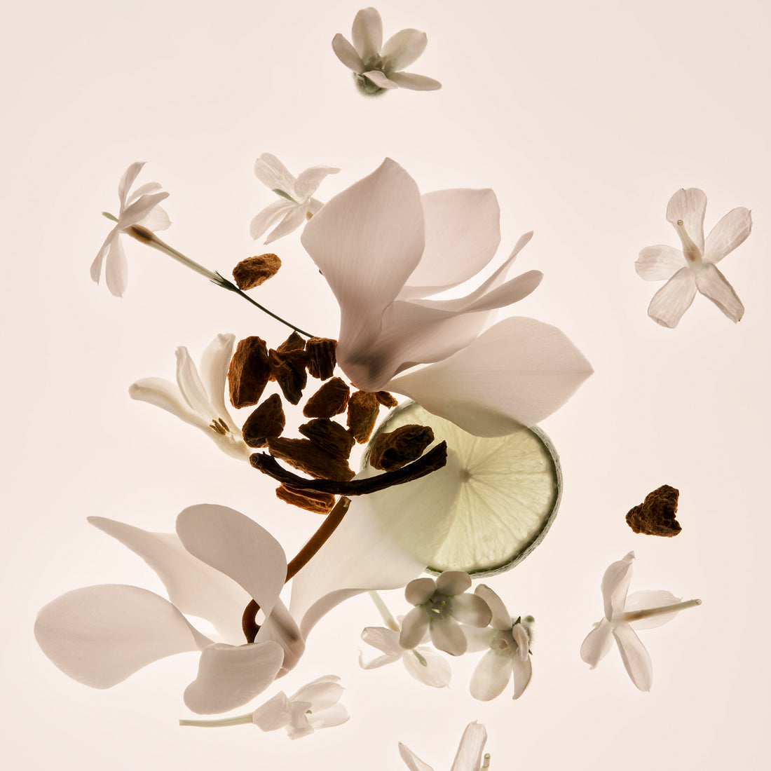 Missing Person - Travel Size Spray Perfume – Phlur